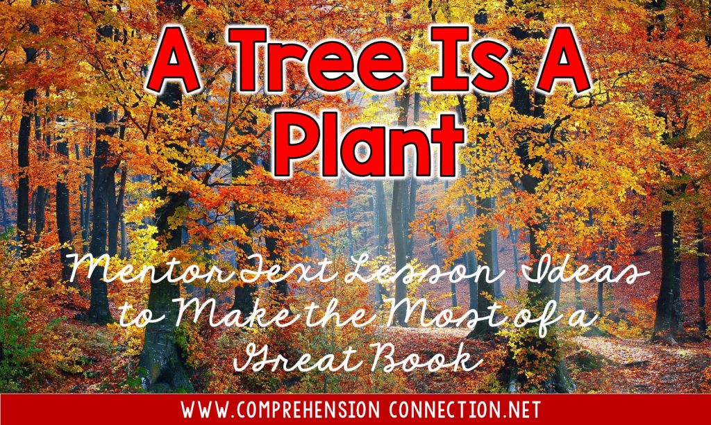 Visualizing With Someday A Tree