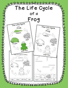 Teaching Nonfiction Text Structures with Frogs! | Comprehension Connection