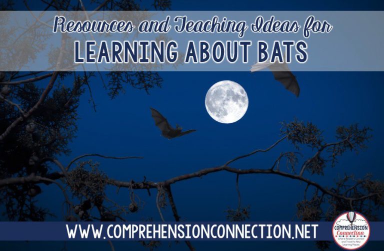 Resources And Teaching Ideas For Learning About Bats Your Kids Will Love