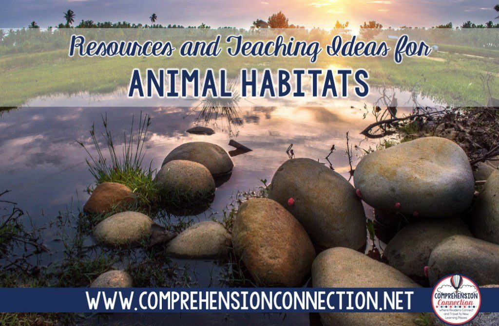 Exploring Animal Habitats With Meaningful Literature And More
