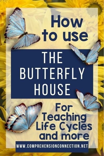 How To Use The Butterfly House For Teaching Life Cycles And More