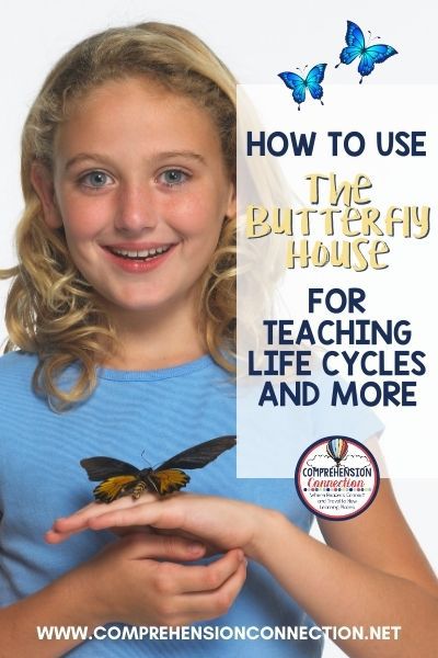 How To Use The Butterfly House For Teaching Life Cycles And More
