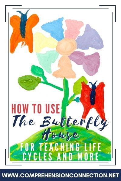 How To Use The Butterfly House For Teaching Life Cycles And More