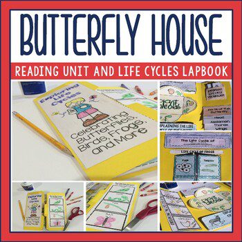 How To Use The Butterfly House For Teaching Life Cycles And More