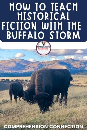 Simple Ways To Teach Historical Fiction With The Buffalo Storm