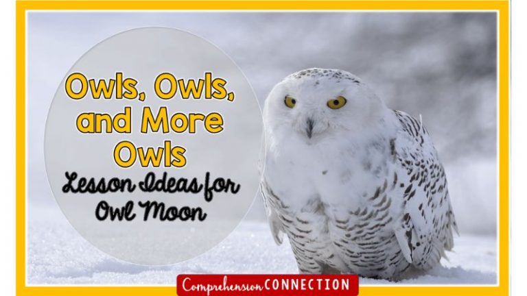 10+ Engaging Lesson Ideas Using The Book, Owl Moon