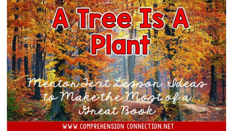Using A Tree Is A Plant As A Mentor Text For Comprehension Skills