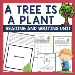 Using A Tree Is A Plant As A Mentor Text For Comprehension Skills