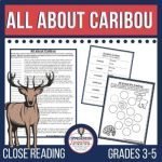 Close Reading With Polar Animals, A Perfect Activity For Winter