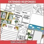 Eve Bunting Author Study Bundle, Eve Bunting Book Bundle ...