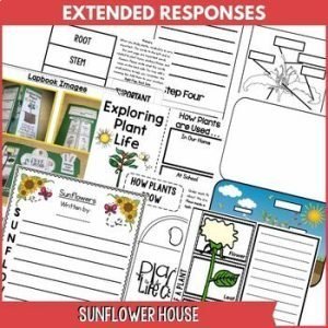 Eve Bunting Author Study Bundle, Eve Bunting Book Bundle ...