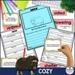 Jan Brett Author Study Activities In Digital And PDF For 10 Titles ...