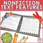 Nonfiction Text Features Project Nonfiction Text Features Paper Bag ...