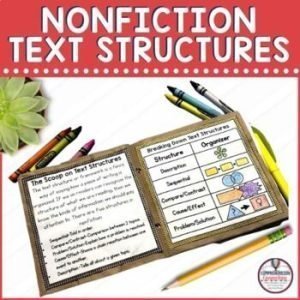 Nonfiction Text Structures Project Nonfiction Text Structures Paper Bag ...