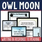 Owl Moon By Jane Yolen Reading Activities In Digital And PDF ...