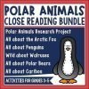 Close Reading With Polar Animals, A Perfect Activity For Winter