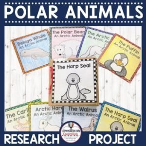 Desert Animals Research Project Paper Bag Book | Comprehension Connection