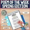 Spring Poem Of The Week, Fluency Activities, Spring Poetry, Fluency Fun ...