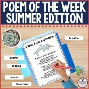 Summer Literacy Resources Bundle For Grades 2-4 | Comprehension Connection