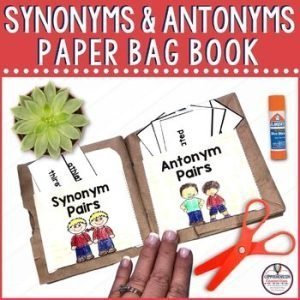 Synonyms And Antonyms Project Paper Bag Book Synonym And Antonyms ...