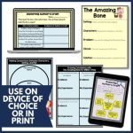 The Amazing Bone By William Steig Activities In Digital & PDF ...