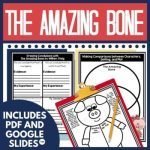 Teaching The Amazing Bone With 5 Fun Ideas