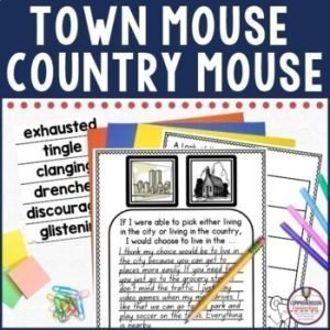 Town Mouse Country Mouse By Jan Brett Activities In Digital And PDF ...