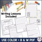 Stick And Stone Book Companion Read Aloud And SEL Activities ...