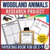 Woodland Animals Research Project, Research Report, Paper Bag Book ...