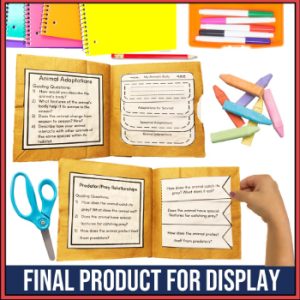 Woodland Animals Research Project, Research Report, Paper Bag Book ...